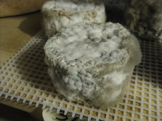 heinennellie: Ash Coated Cheese