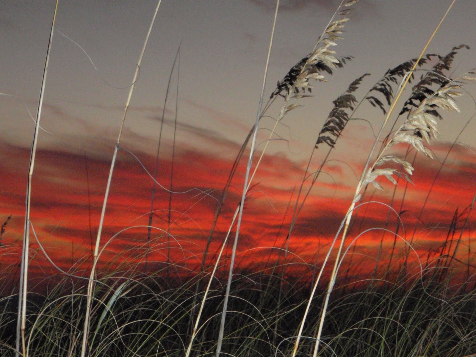 Melanie Barrett Photography Blog: Cloudy fall skies