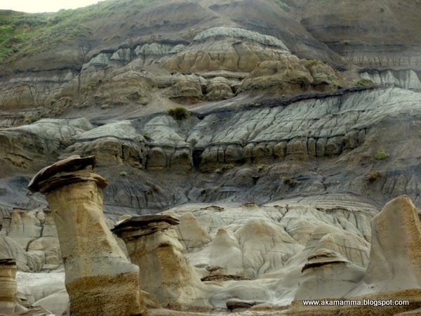 The Unexpected Twists and Turns: The Badlands