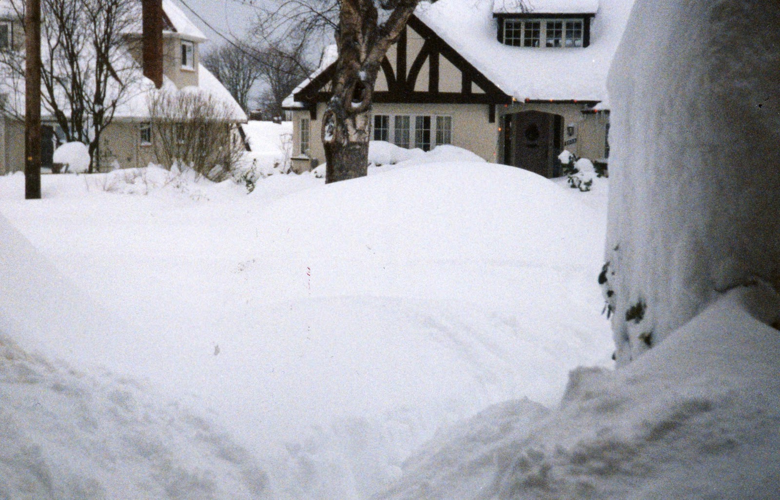 The Vintage Vignettes: Wordless Wednesday ~ Snowed In ~ December 1996