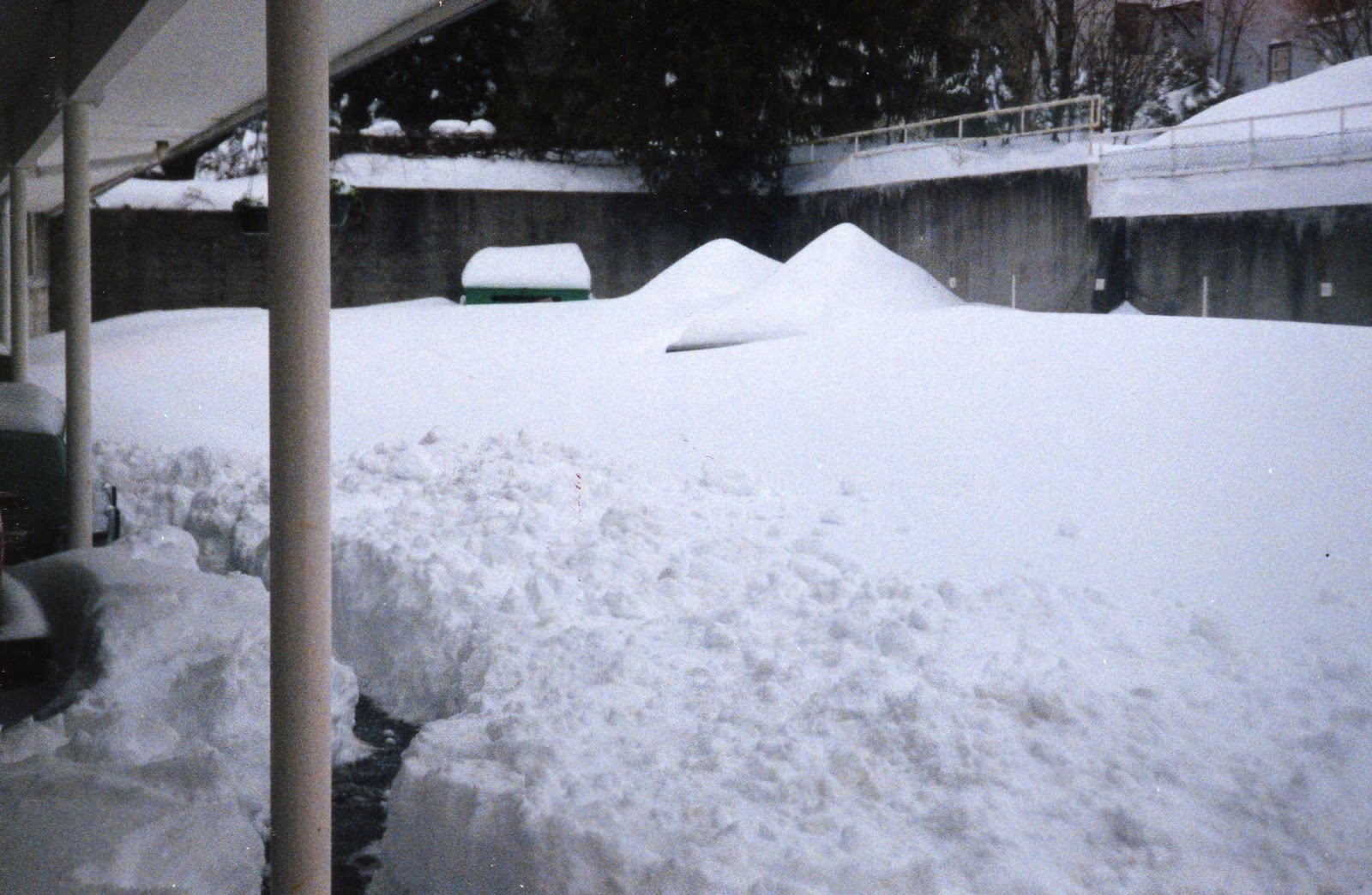 The Vintage Vignettes: Wordless Wednesday ~ Snowed In ~ December 1996