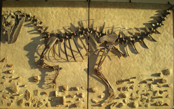 Coffee With Hallelujah: FOSSIL ART ALONG AUSTRALIA’S DINOSAUR TRAIL ...