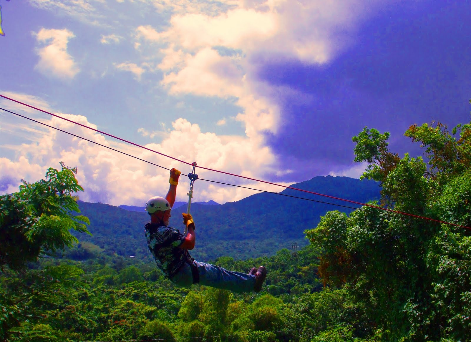 The Rainforest: Zip Lining In The Rainforest In Puerto Rico