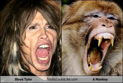 A Little Reality: Monkey-Man Politics