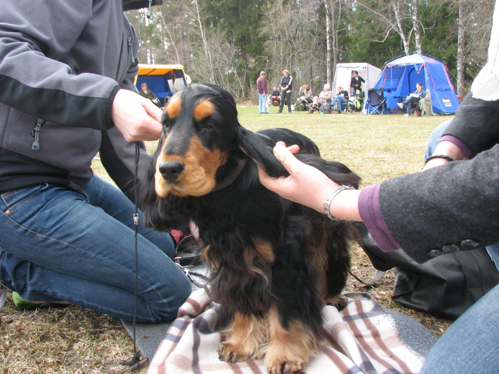 en stor pillerill och ett litet troll