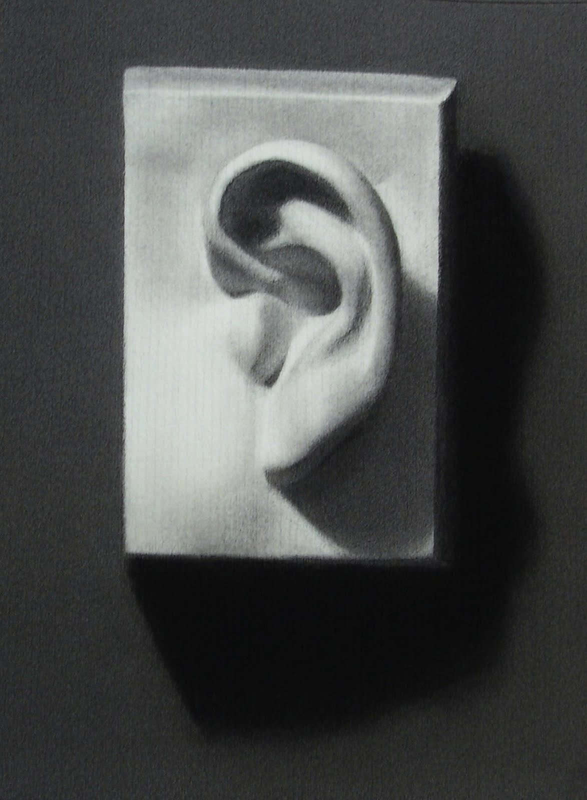 Lisa O'Neil Fine Art: Ear Cast, Sight Size Charcoal drawing on paper