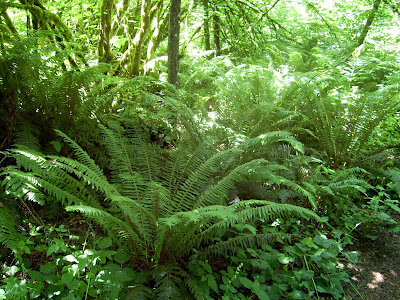 Jurassic Park runs | The Happiness Project