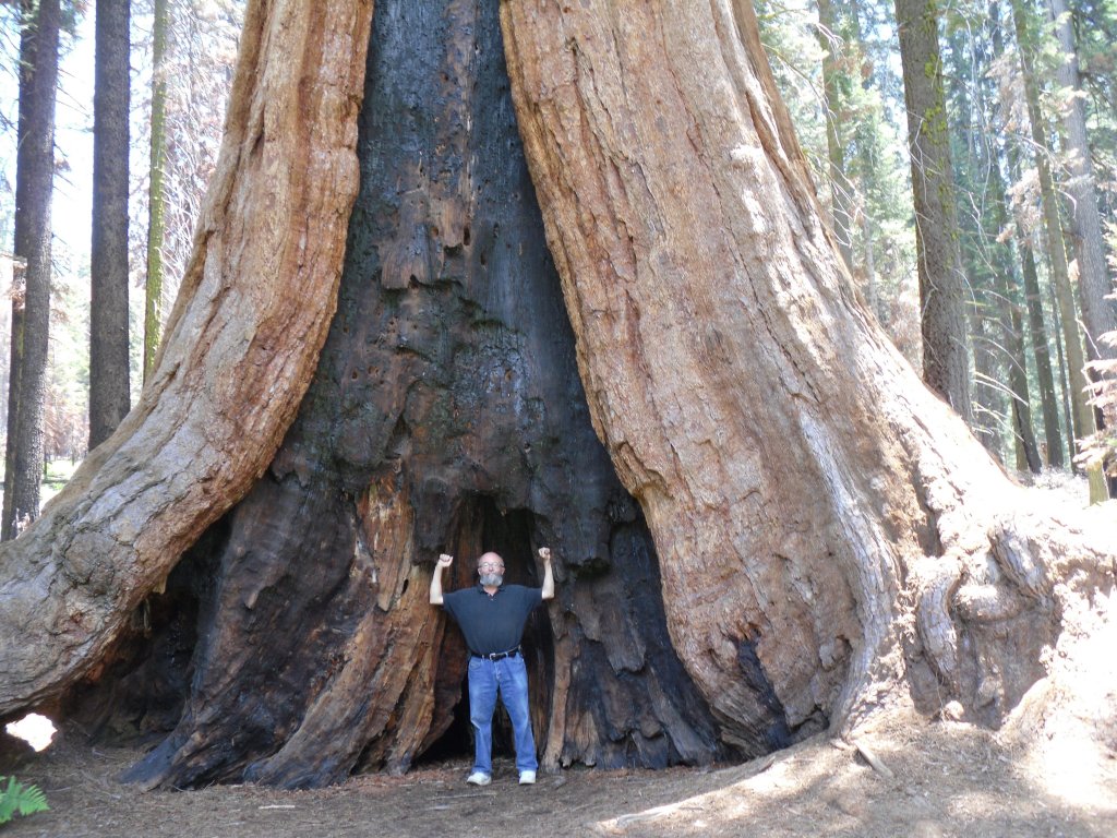 parablesblog: Parable of Sequoia National Park