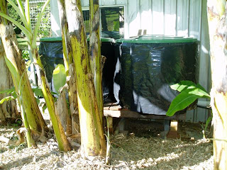 Our Backyard DIY Aquaponics System