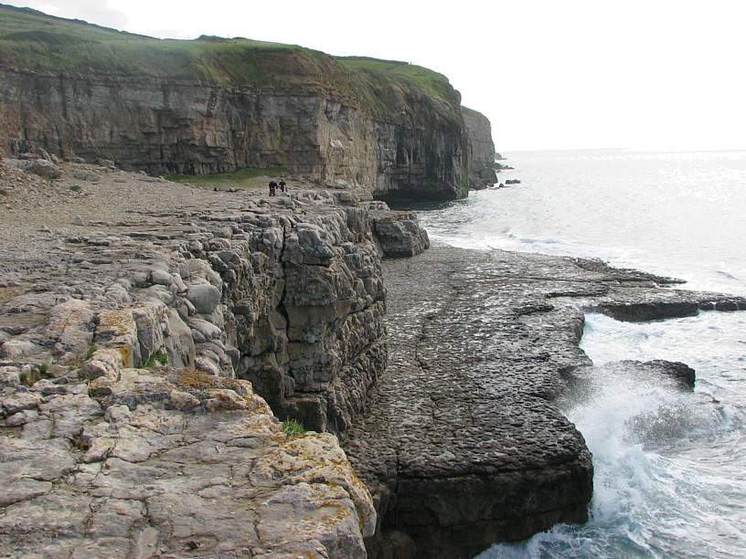 Wildwings and Wanderings: Dancing Ledge
