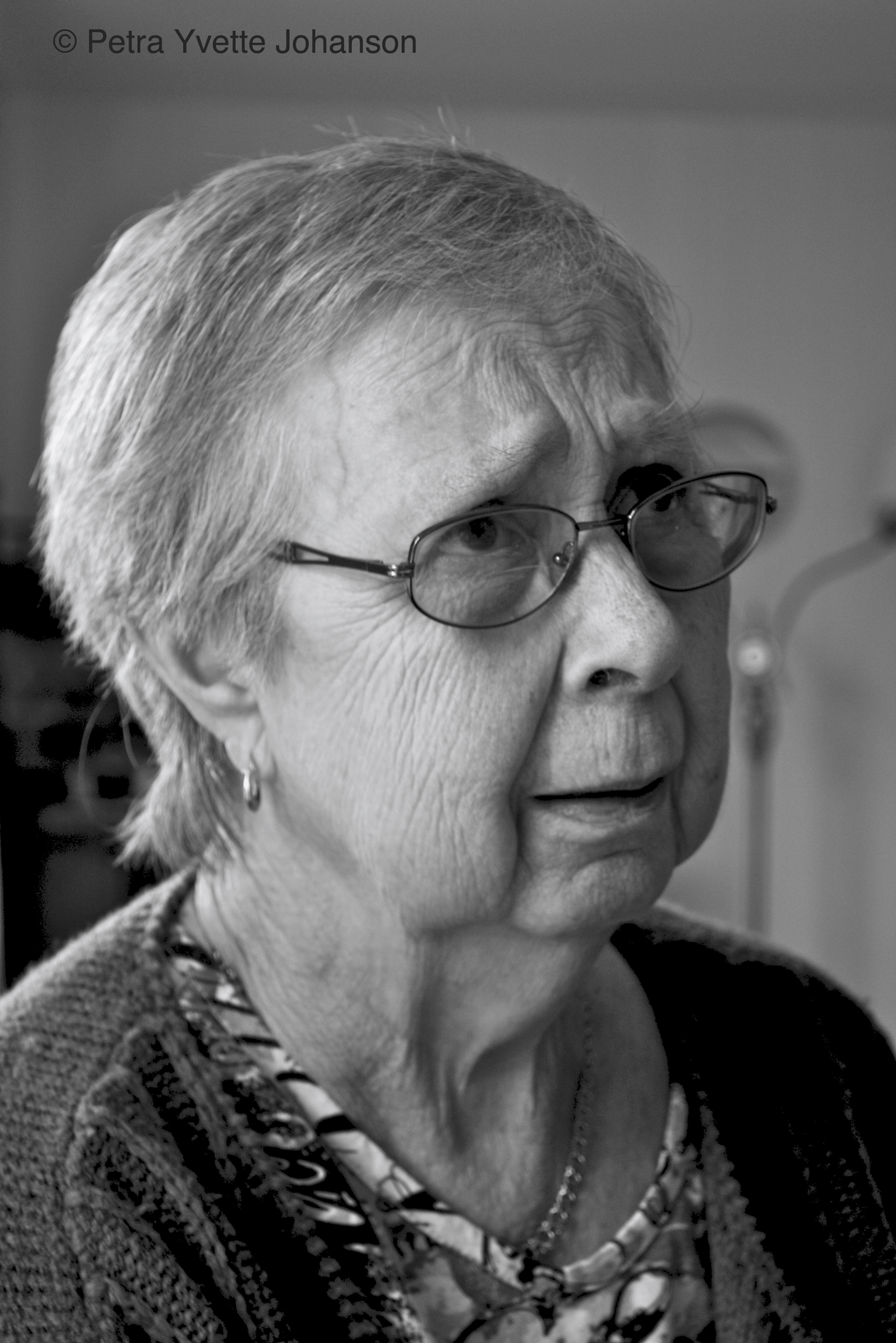 Välkommen till Petra Yvette Johansons Fotoblogg : February 2011