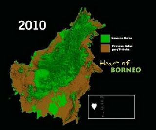 My Life My Adventures: Heart Of Borneo (HOB)