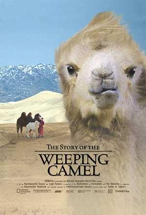 Mylifefullofdreams: The story of the weeping camel!