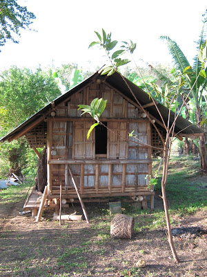 Redlan's Web Of Arts: LIZARES MANSION AND THE BAHAY KUBO
