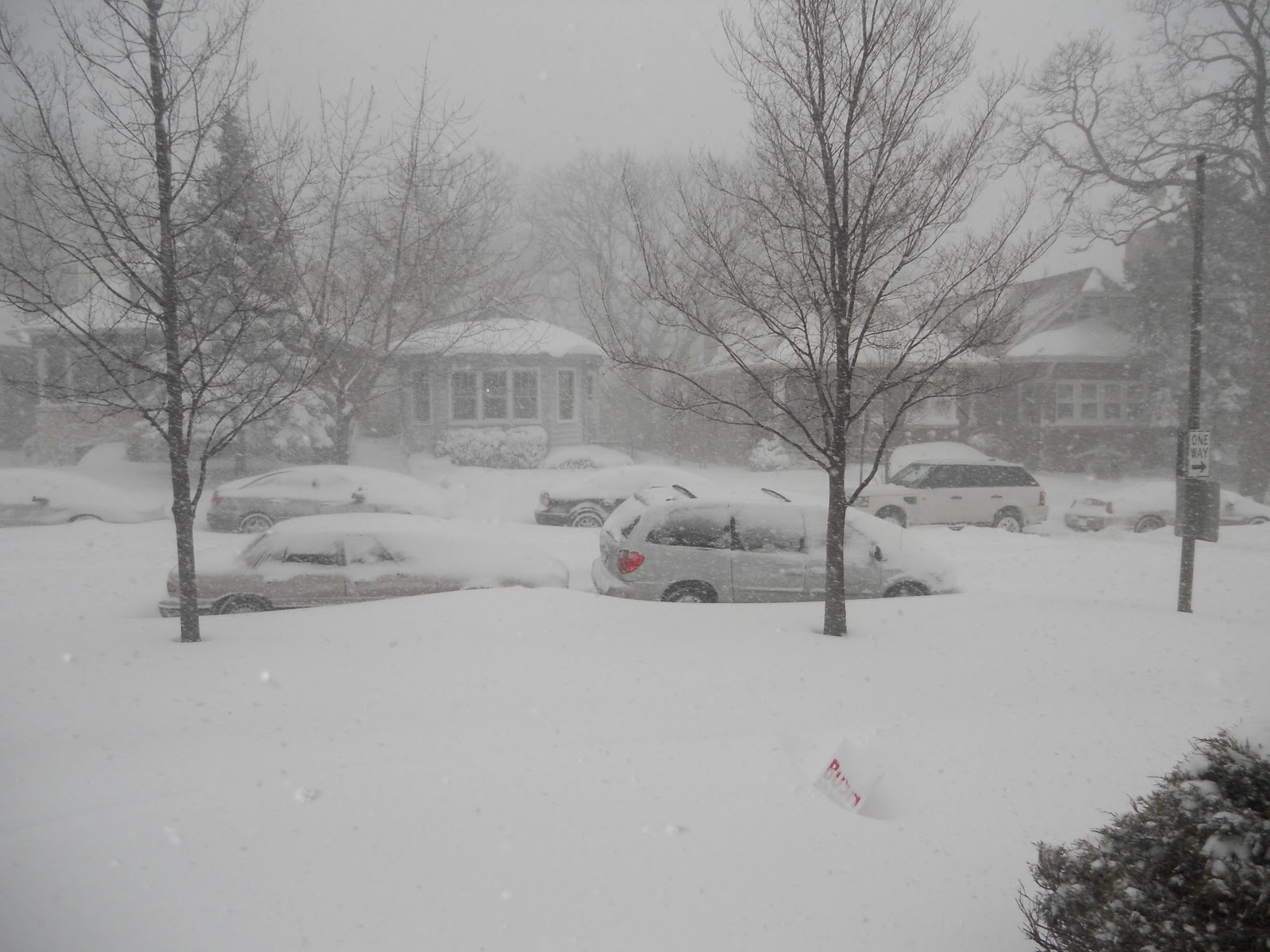 A Place Call Home: Chicago Blizzard 2011