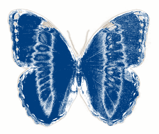 ...Maeberry Vintage...: Fabulous Friday Finds: Printable Blue Butterfly ...
