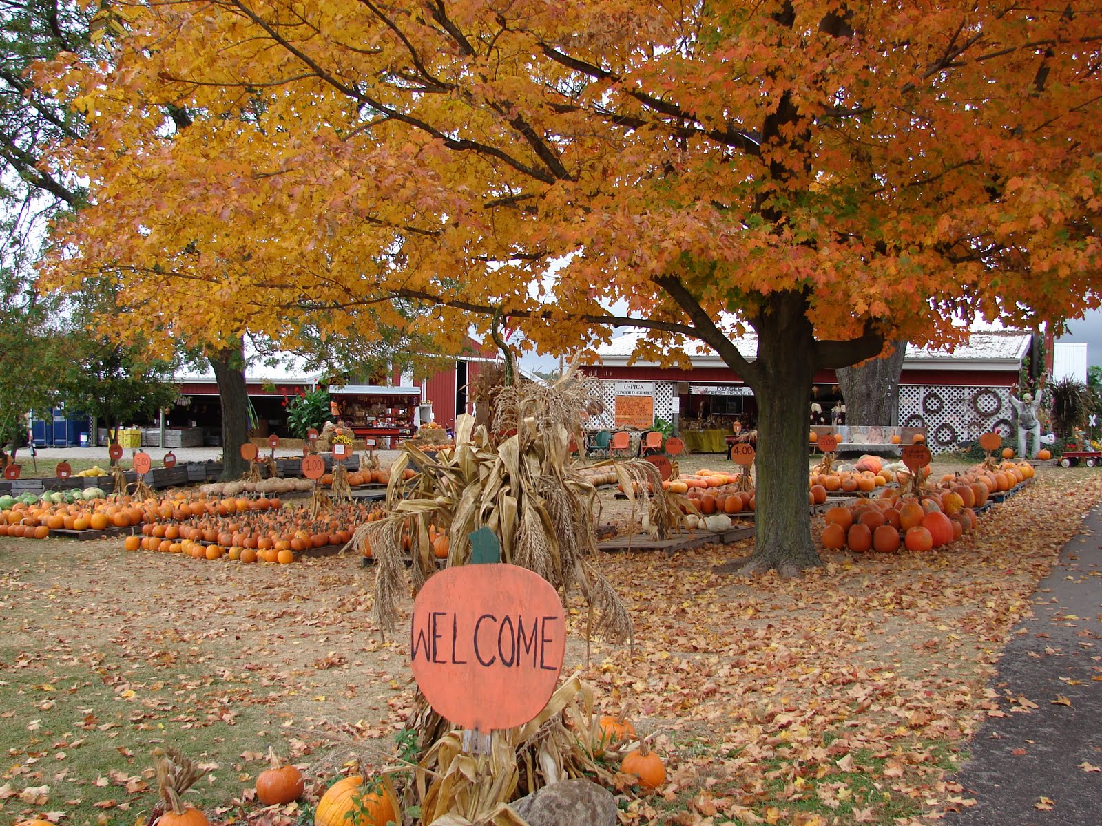 Sandra Scott Travels: Harbor Country: Michigan's Great Lake Shore