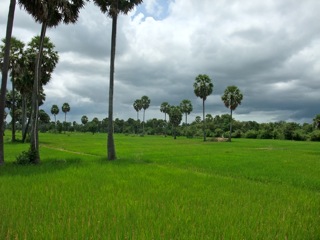 One2One CAMBODIA: Introducing SMILe Project in Kampong Spue