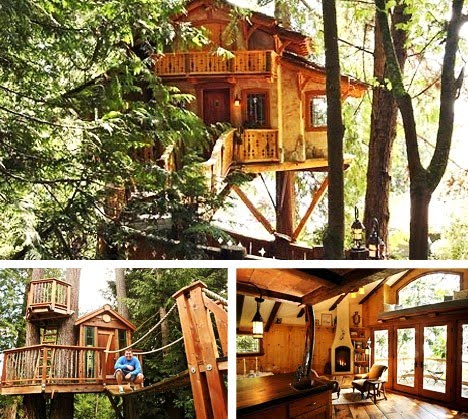 Journey of the Featherless: Real life treehouses!