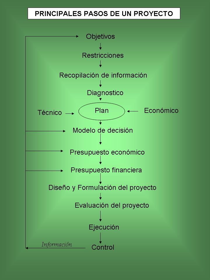 Pasos De Un Proyecto