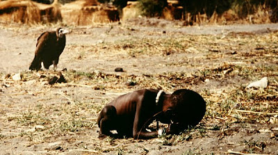 Starving Child with Vulture photograph ~ Veeranjaneyulu