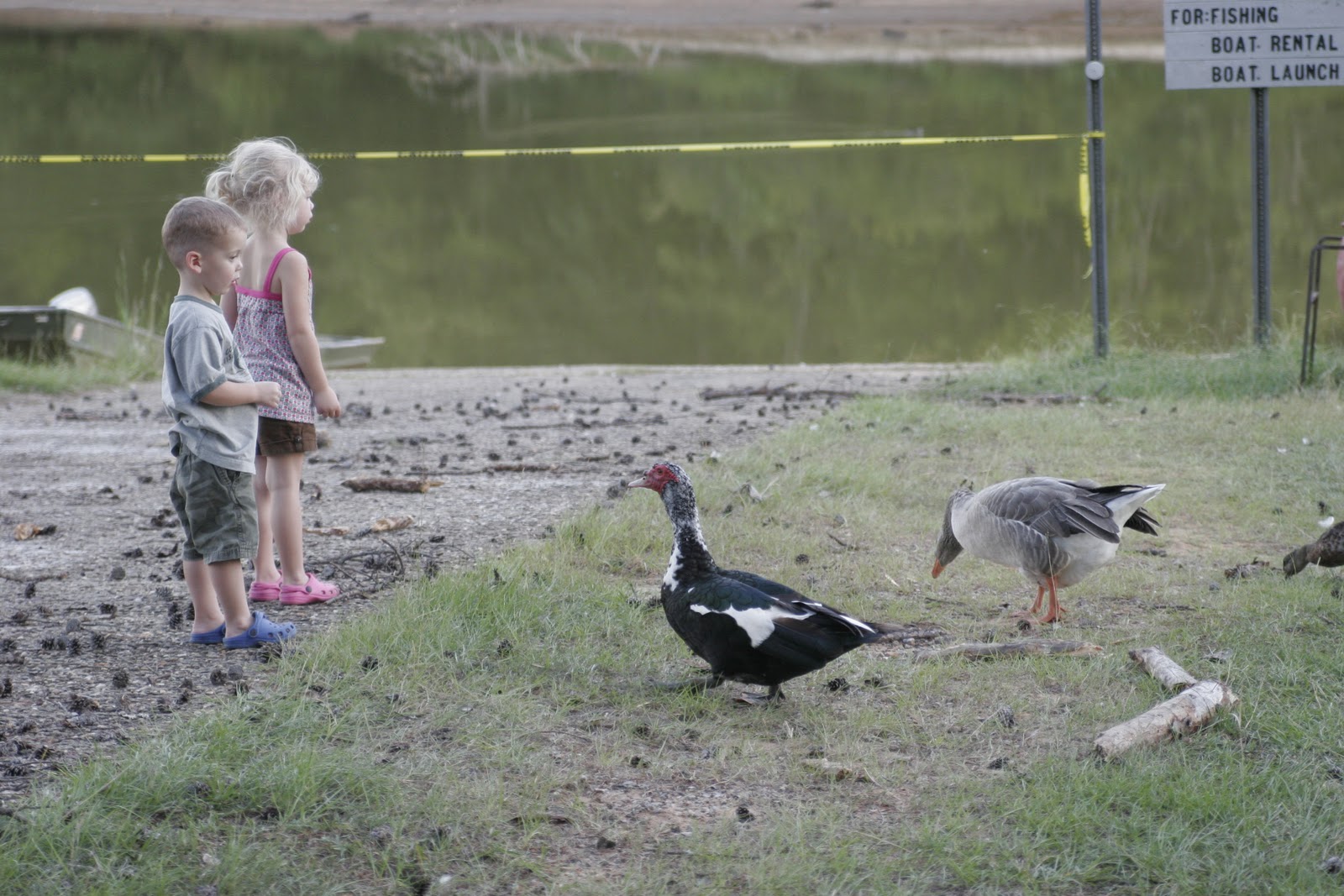 Making Unit Studies Work for Us | Homeschool Better Together