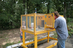 Addie Boone - My Crazy Life