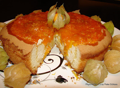 PhysalisOrg 2.0: Cheese Cake de Physalis