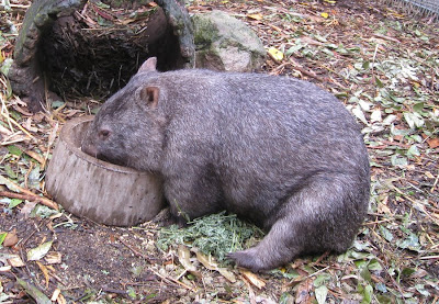 supereco: Nov 18, 2008