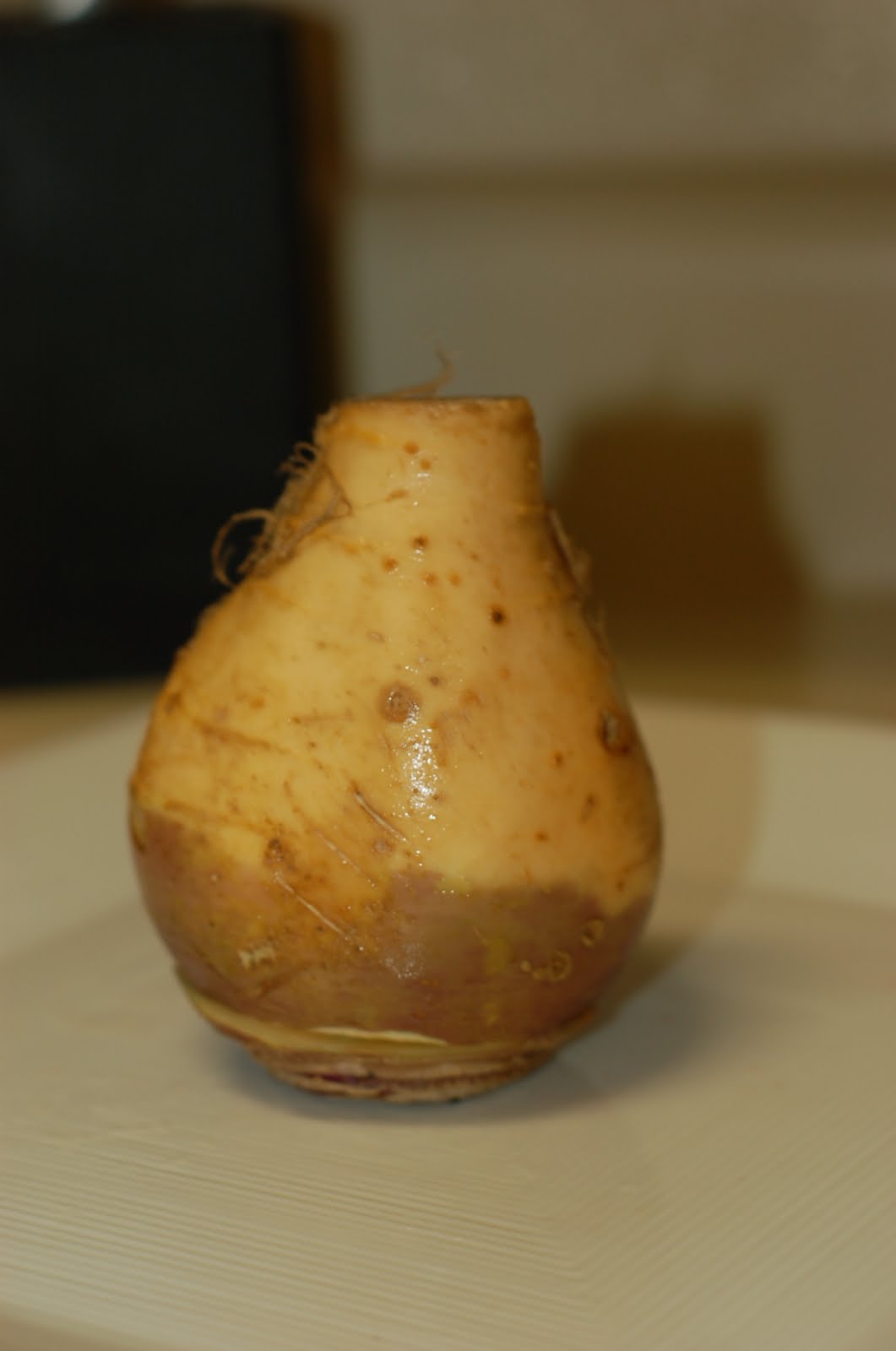 Natures Express: Identifying and cooking root vegetables