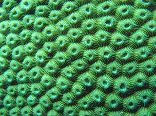 TexturaLand: Las Texturas definición, tipos...