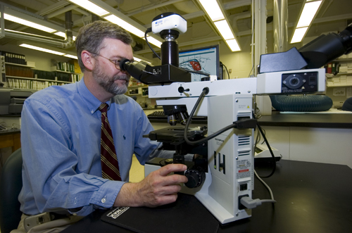 Biomedical Engineering: What is Bio-Medical Engineering?