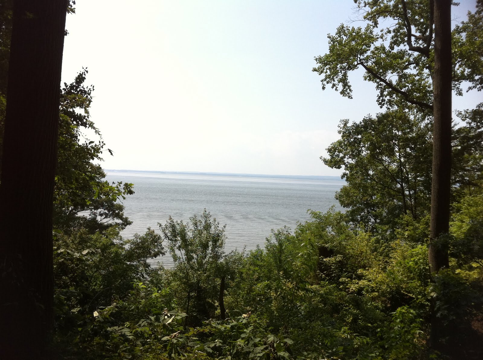 hey look!: Adventures at Rodney Scout Reservation