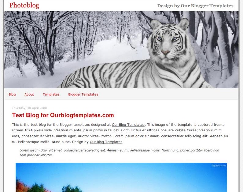 B-N-W: Photoblog One Column Blogger Template