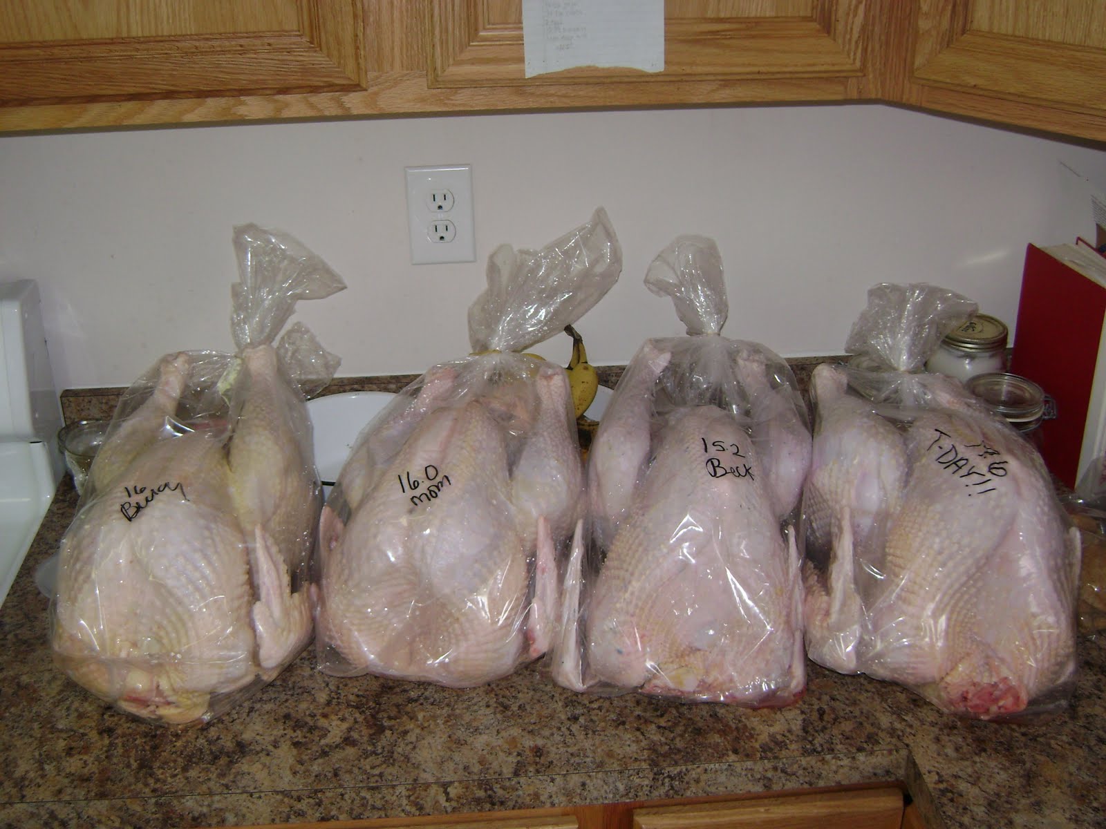 Katiegirl: Turkey Processing Part 1