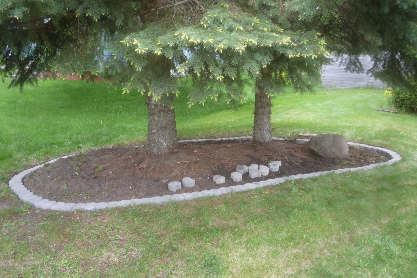 Day in the Life of Camera Dan: Brick Border Around the Trees in Front