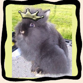 Regina's Rabbit Habit