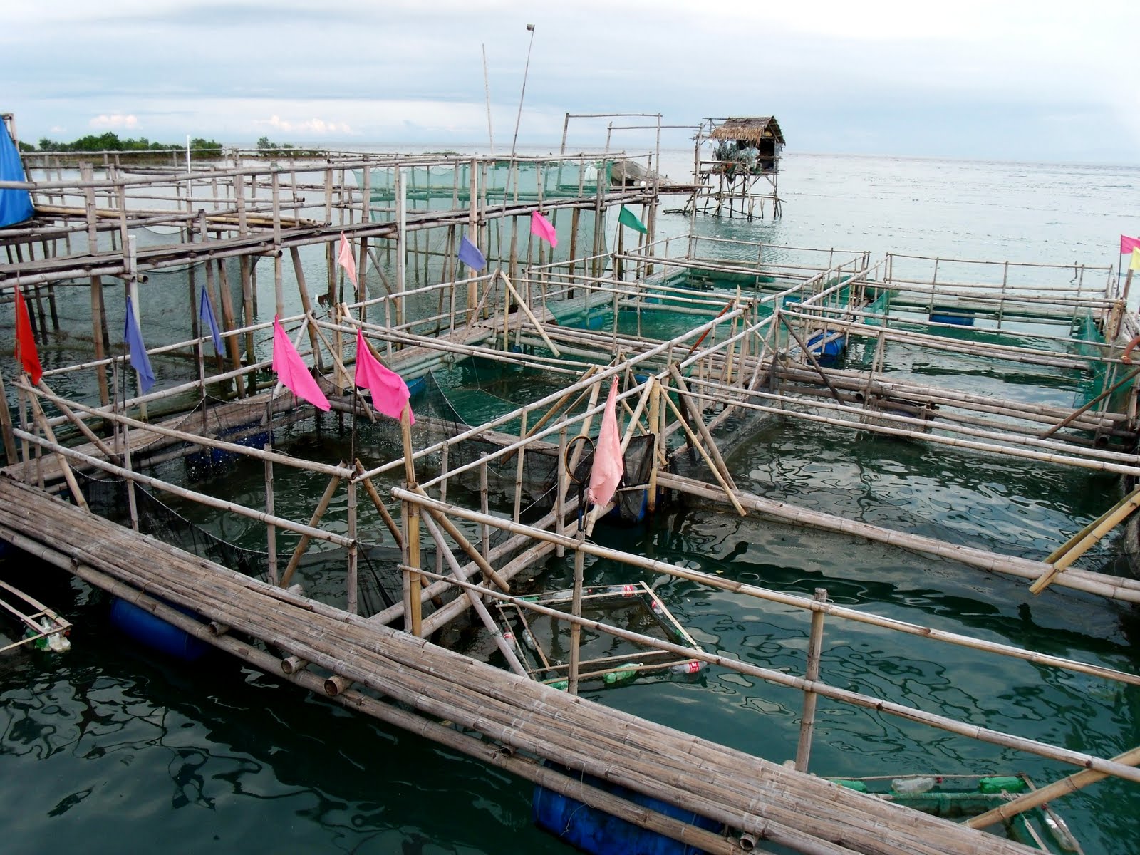 Traveling Morion | Travel + Photography: Morion's PhotoTravel Diaries ...