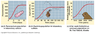 BIOL 1404 (McG's Part) 2012: Population Biology 3. Logistic Growth