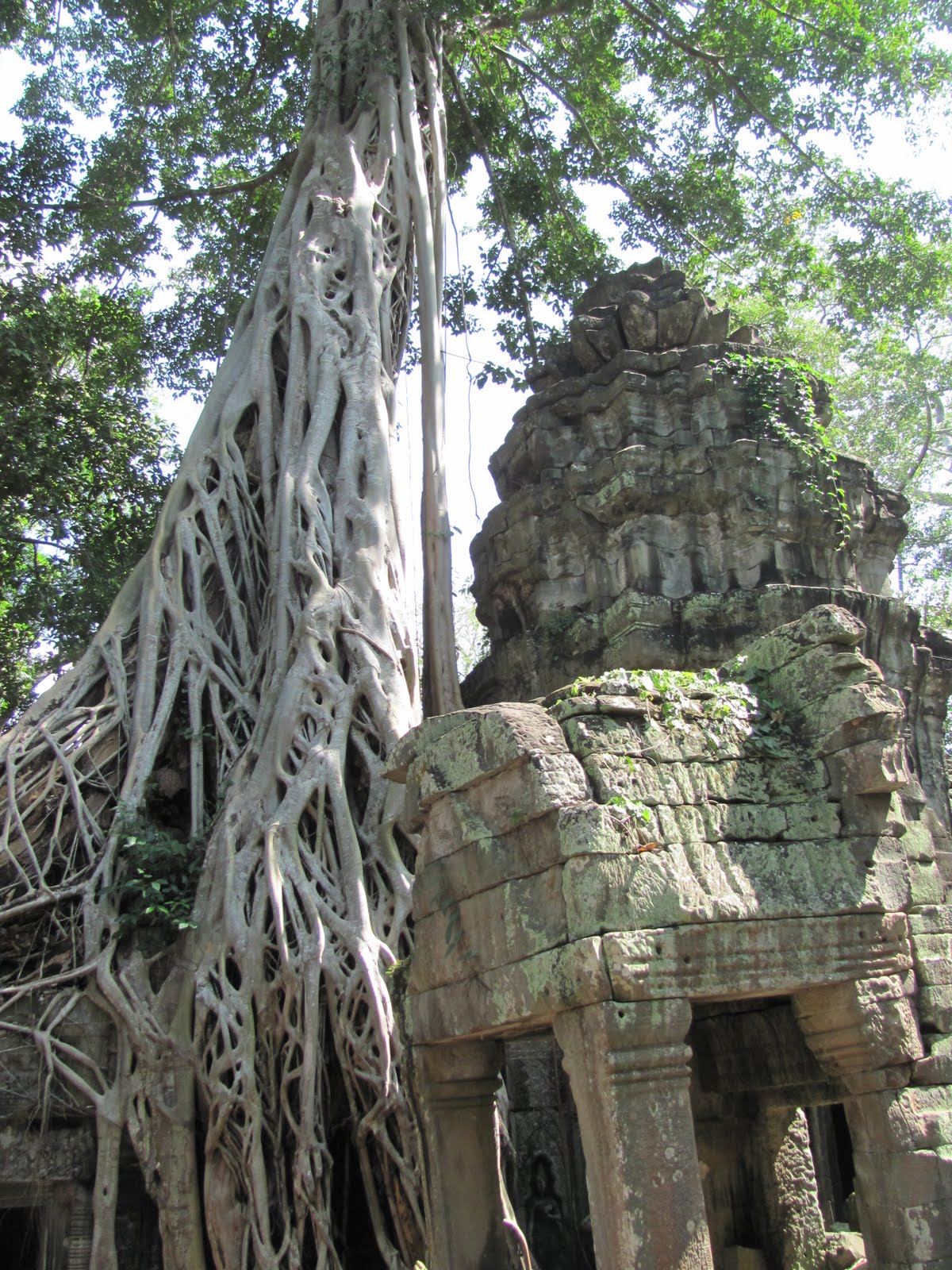 Mark McGinley's Fulbright in Malaysia: Ta Phron