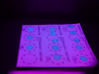 Mad Scientists: June 2009