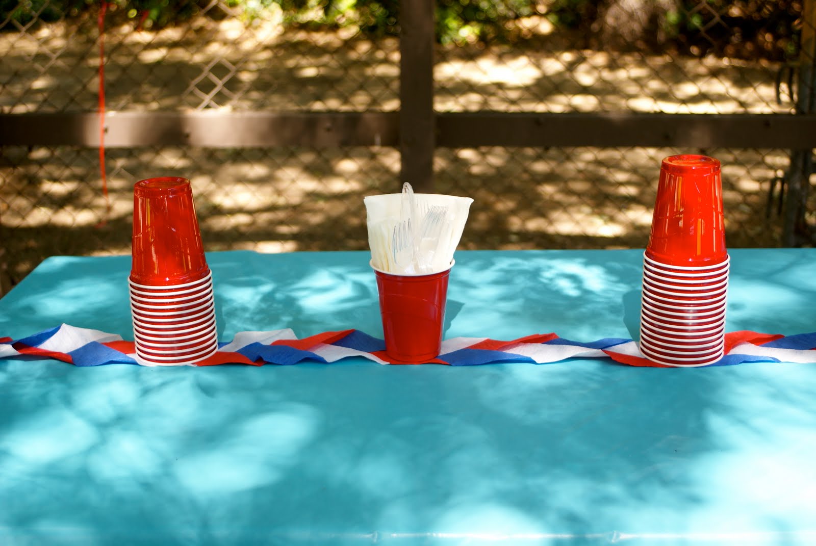 Brilliantly Beautiful Events: Brilliant DIY: RED, WHITE and BLUE picnic ...