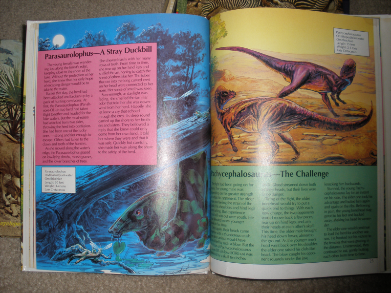 Symbion pandora: Bargain Books, dinosaurs, etc