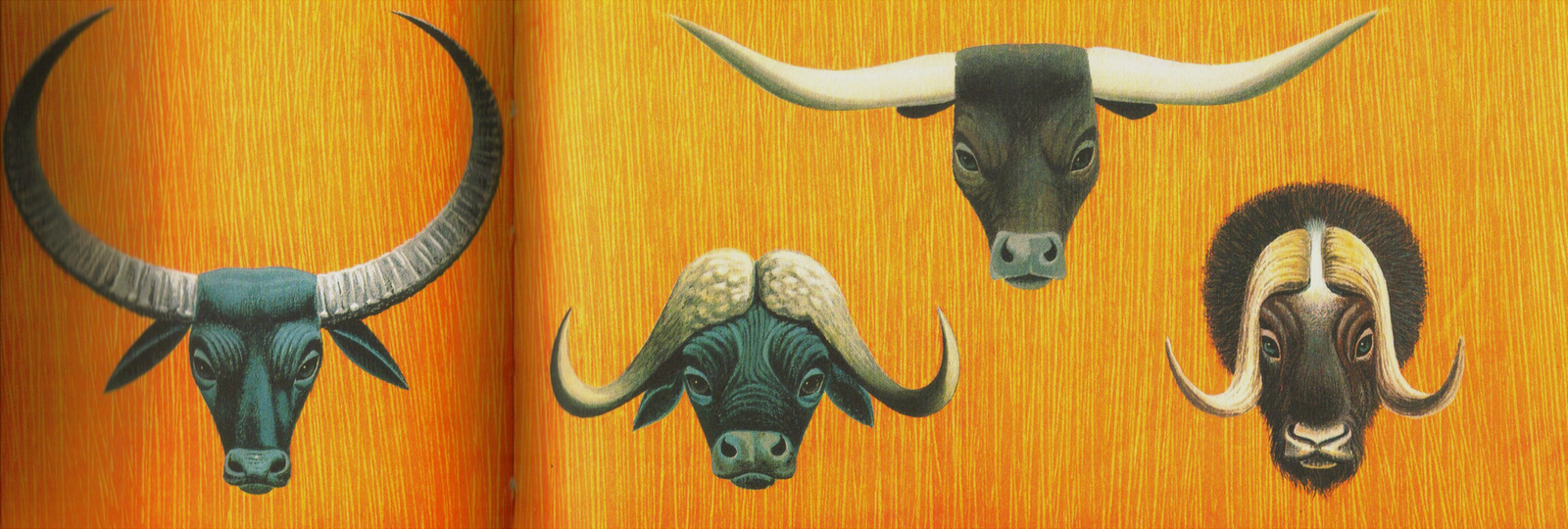 Symbion pandora: Ufufufu-- atarashi hon wa sugoi deshou