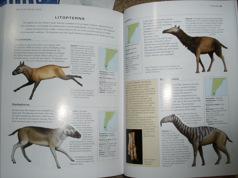 Symbion pandora: Princeton Field Guide to Dinosaurs, Illustrated ...