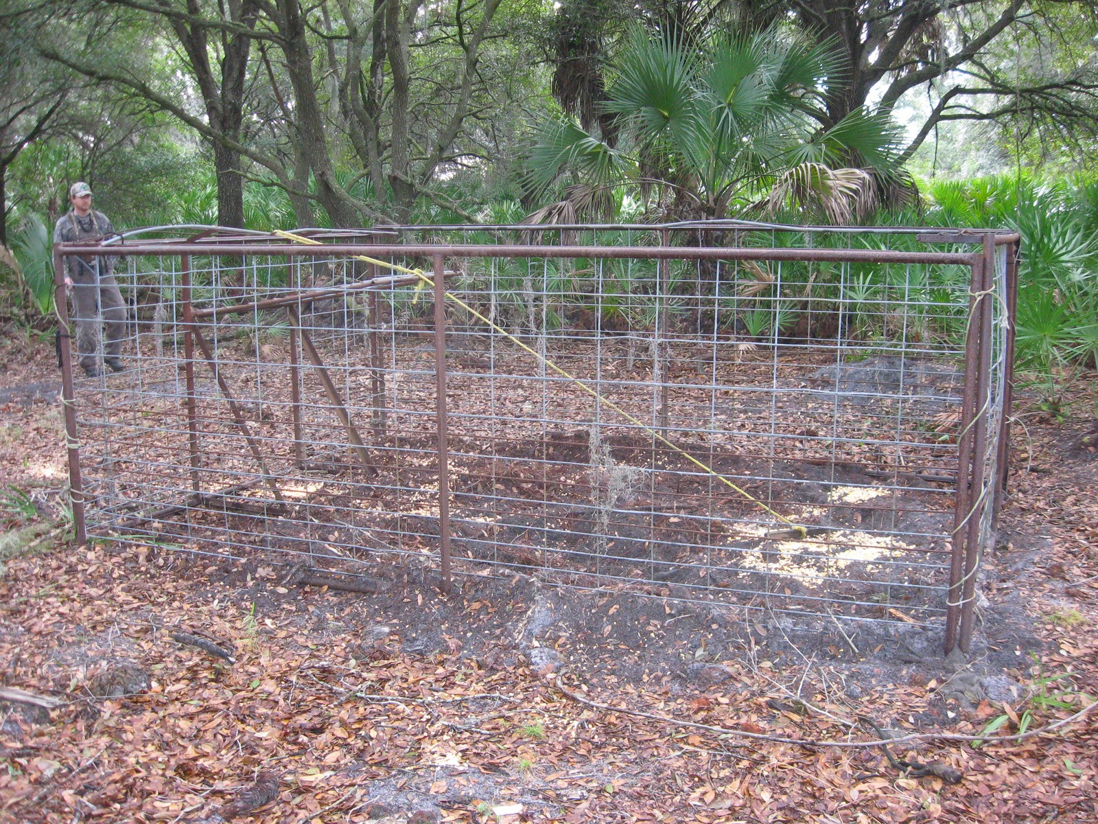 The Bumbling Bushman: Florida Hog Hunt, Part I: The Long Road To Glory