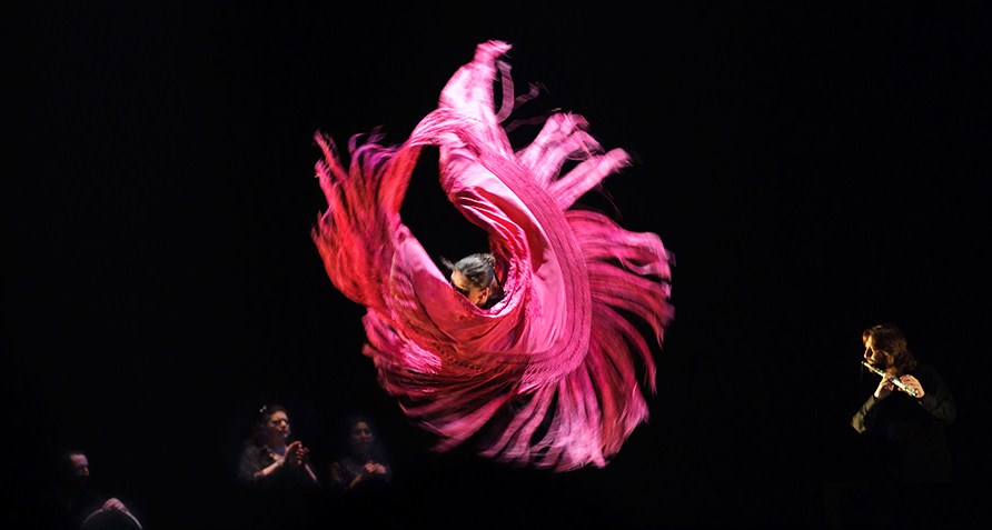 Ŧhe ₵oincidental Ðandy: Flamenco: The Pride & Passion of Spain