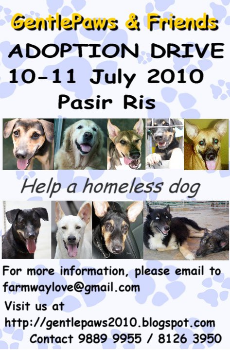 Gentle Paws and Friends: Adoption Drive