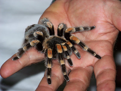 DESTINATION LA GUYANE