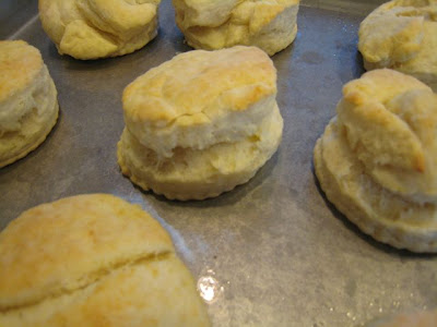 Delectalicious!: Food Processor Biscuits